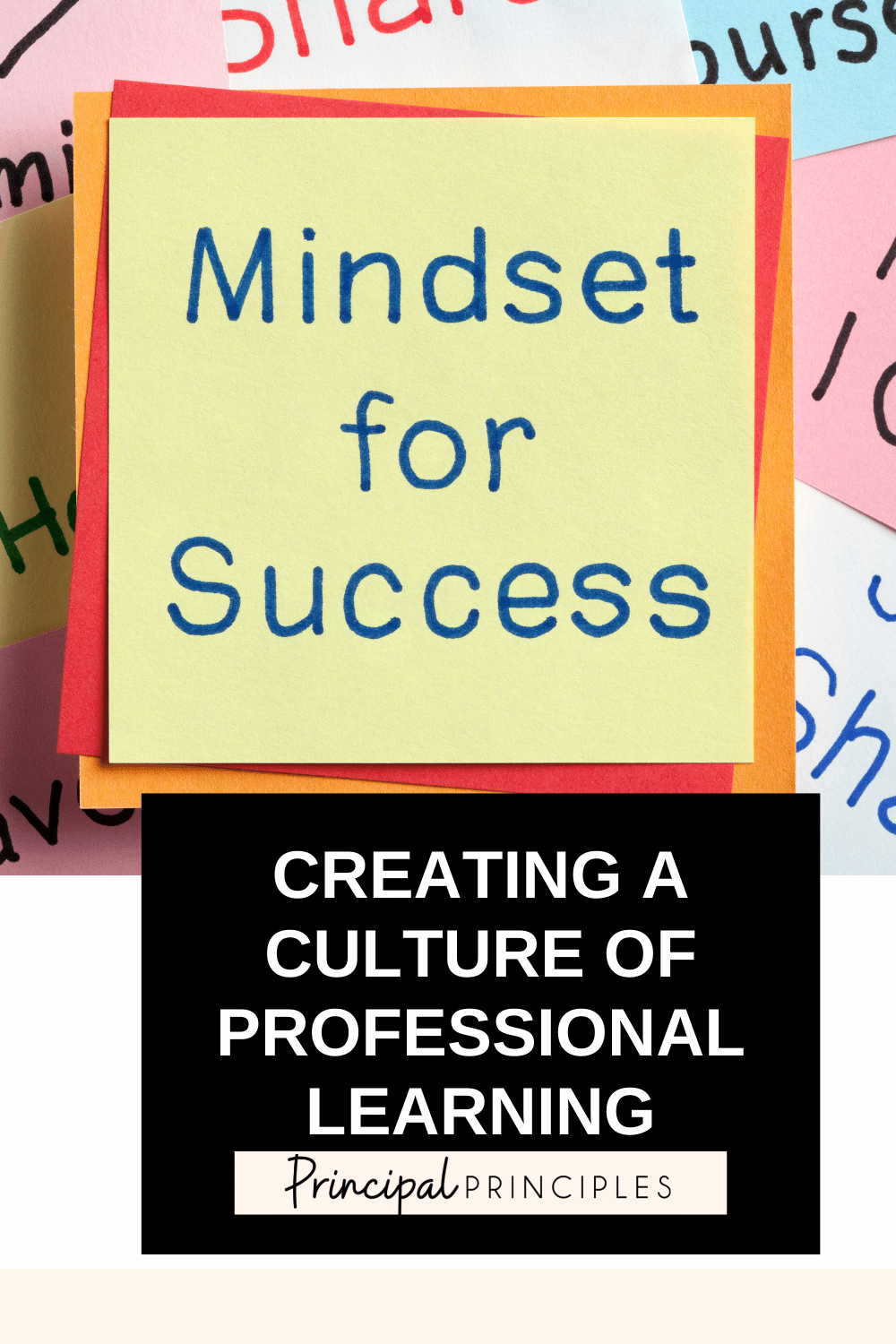Creating a Culture of Professional Learning - Stephanie McConnell ...